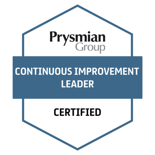 Continuous Improvement Leader - Credly