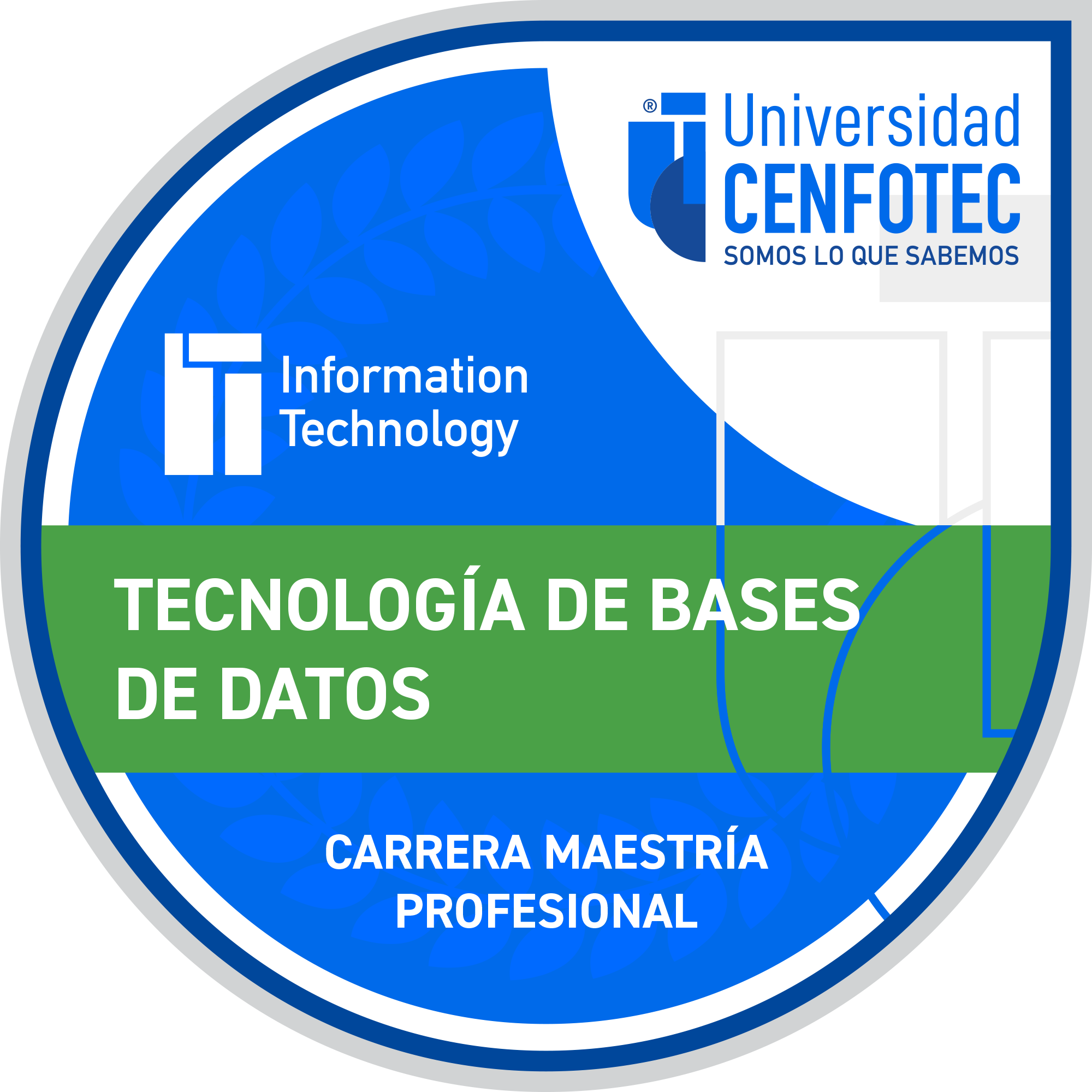 Maestría en Tecnología de Bases de Datos_ - Credly