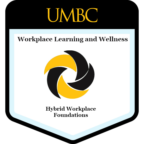 Hybrid Workplace Foundations - Credly
