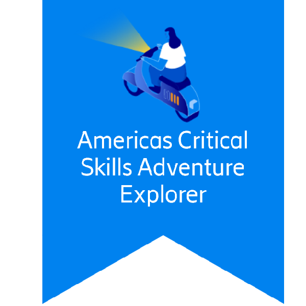 Market Area Americas Critical Skills Adventure Explorer - Credly