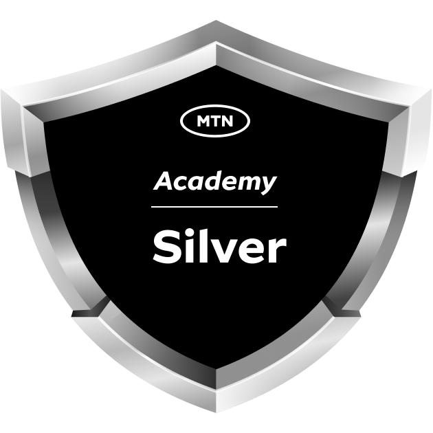 MTN Academy: Silver - Credly