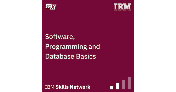 Software, Programming and Database Basics - Credly