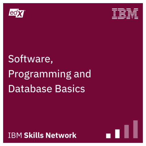 Software, Programming and Database Basics - Credly
