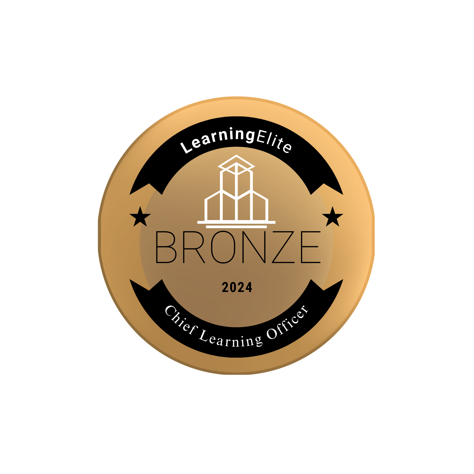 2024 LearningElite Bronze Winner - Credly