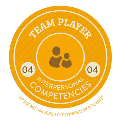 Strategic Team Player - Credly
