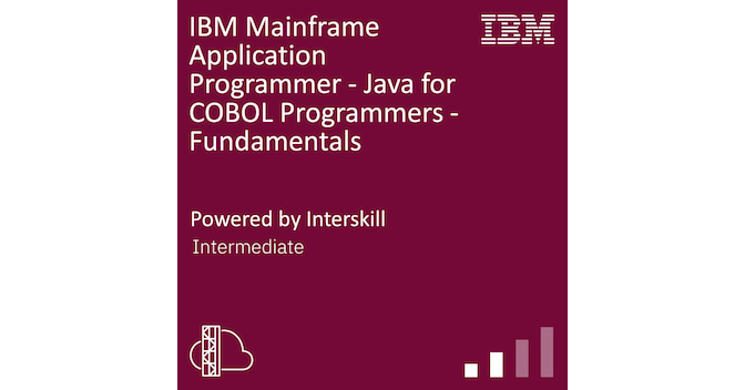 Interskill Ibm Mainframe Application Programmer Java For Cobol
