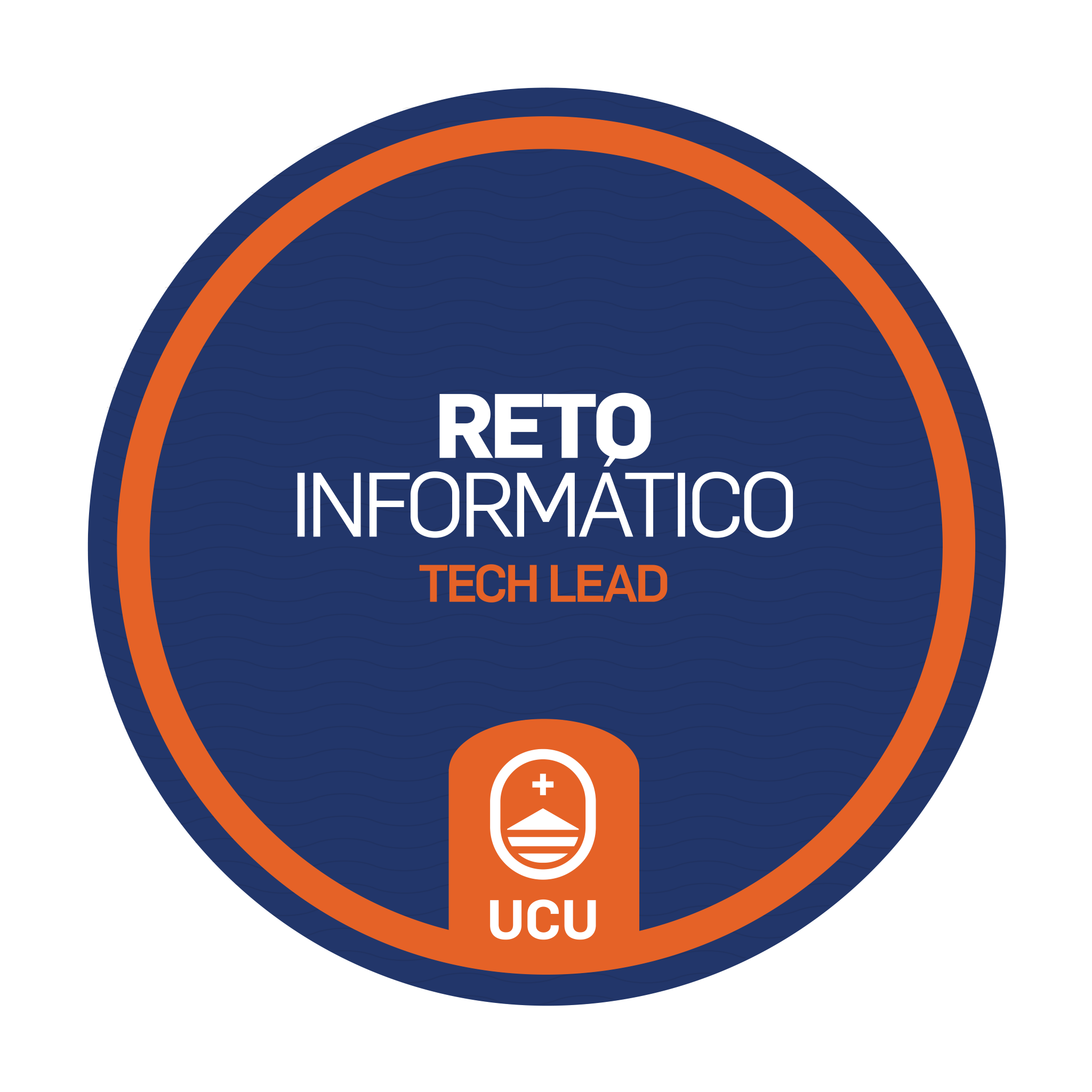 Reto Informático - Tech Lead Front - Credly