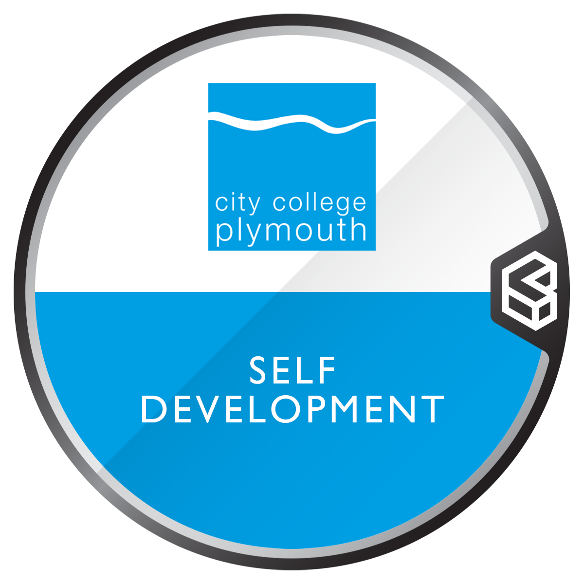 COVID 19 extra-curricular self-development - Credly