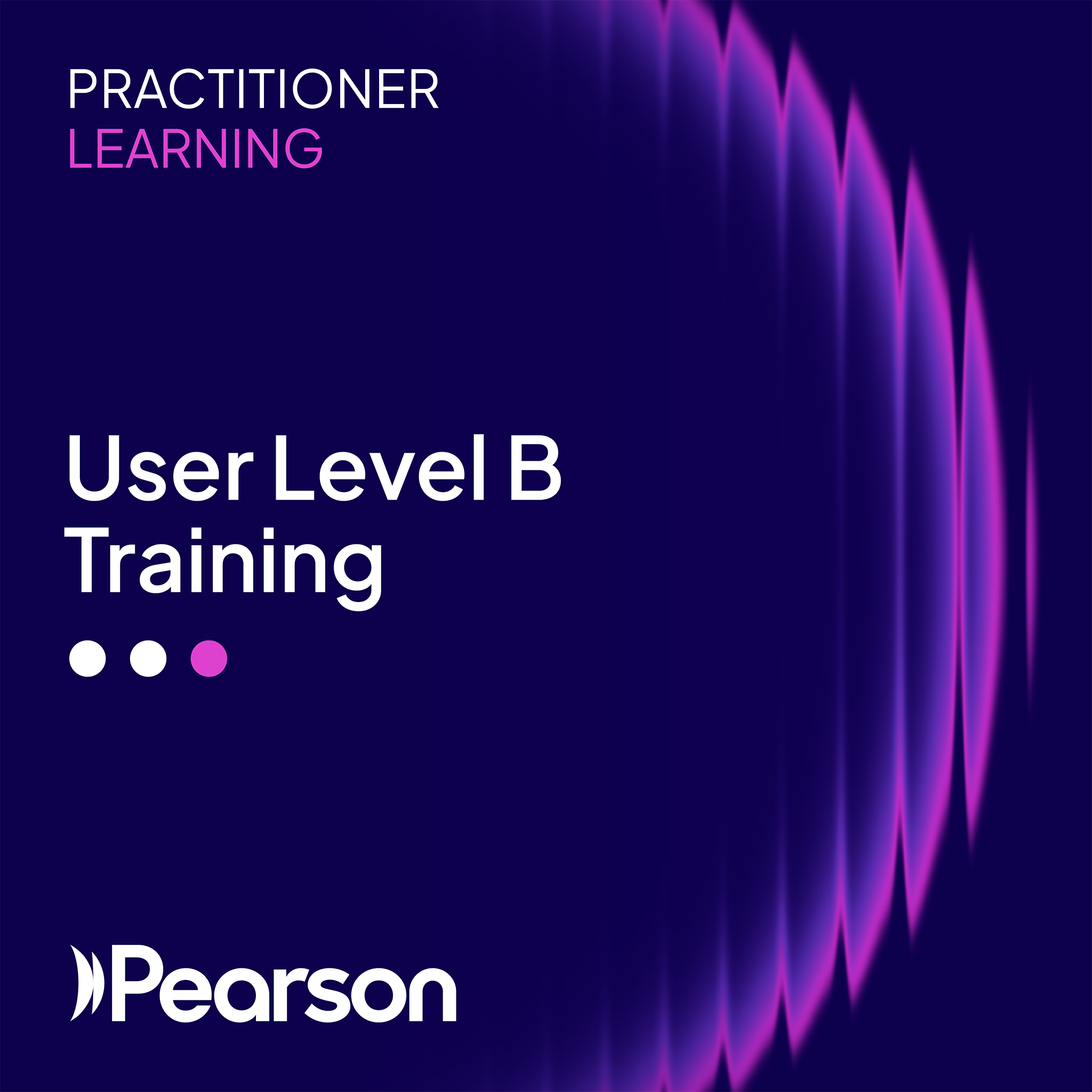 User Level B Training - Credly