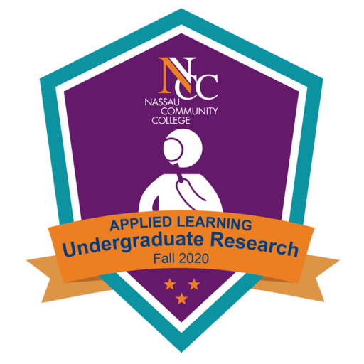 Applied Learning Undergraduate Research Fall 2020 - Credly