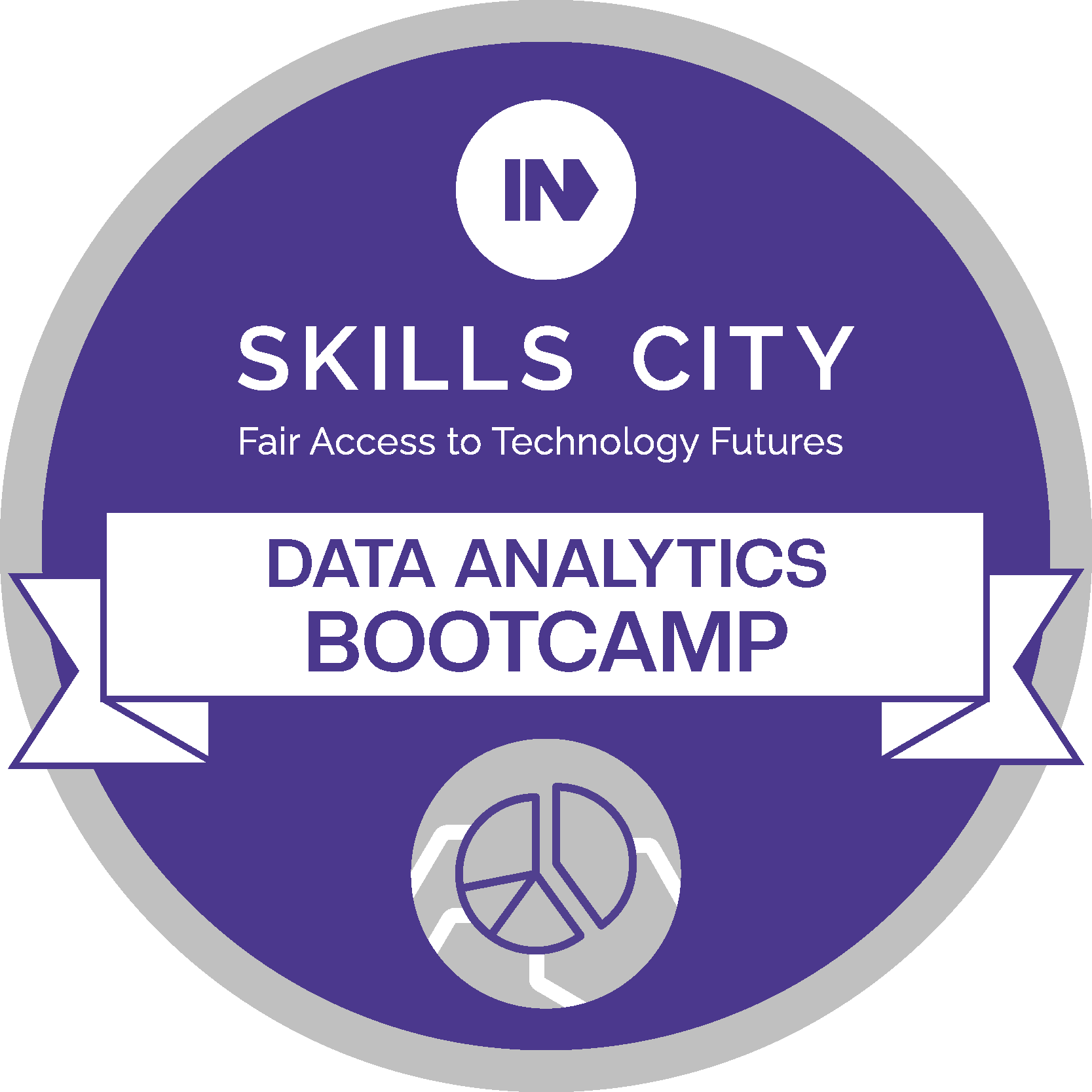 Skills City Data Analytics Silver - Credly
