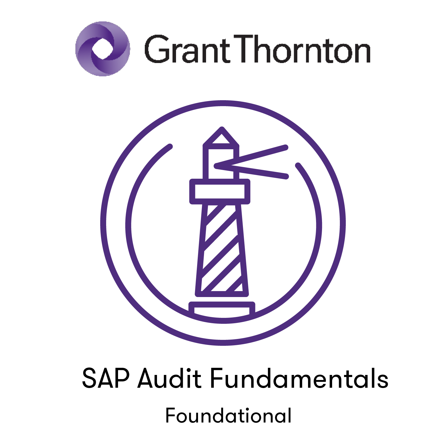 SAP Audit Fundamentals - Foundational - Credly