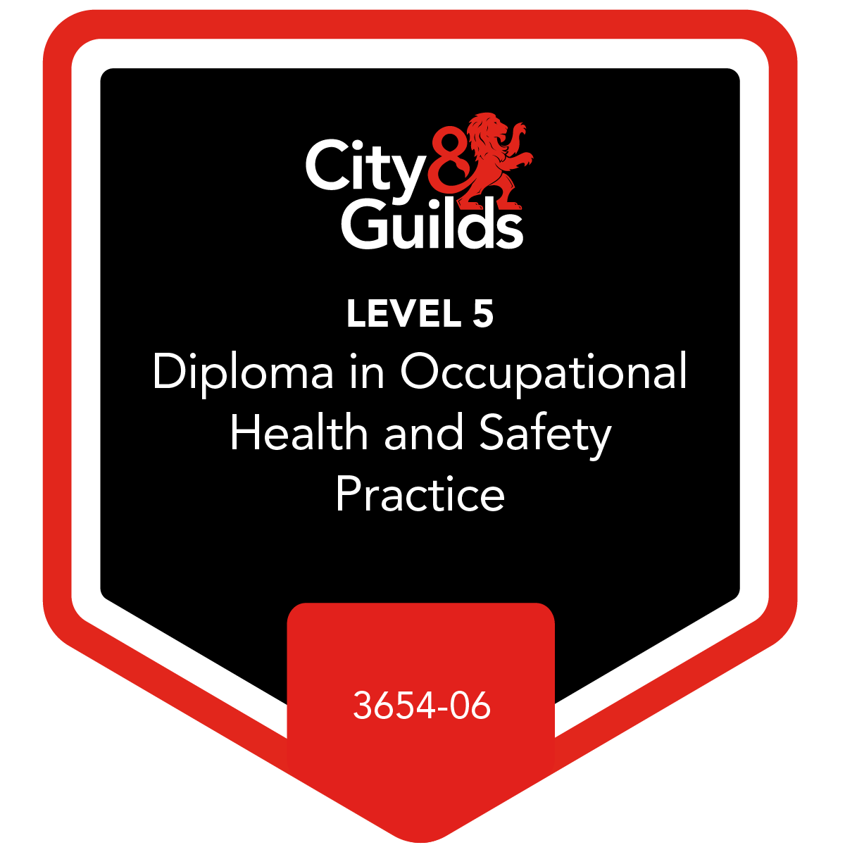 Level 5 Diploma In Occupational Health And Safety Practice 3654 06 Level 5 Diploma In Occupational Health And Safety Practice 3654 06