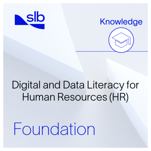 Digital And Data Literacy for Human Resources (HR) - Foundation - Credly