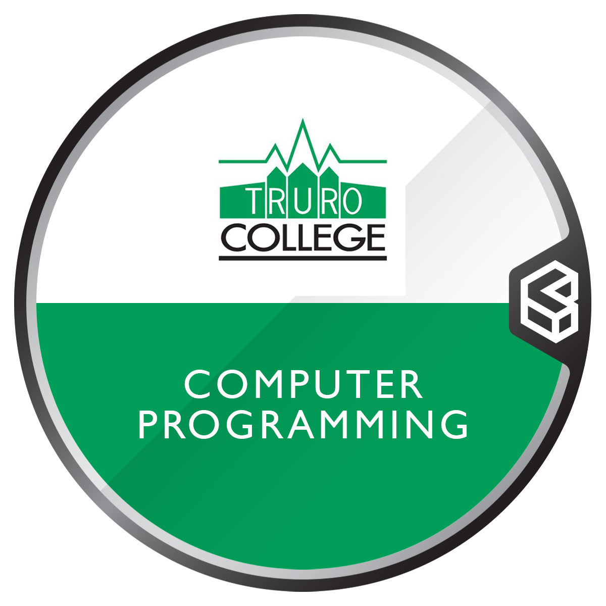 Digital Bootcamp Computer Programming Credly