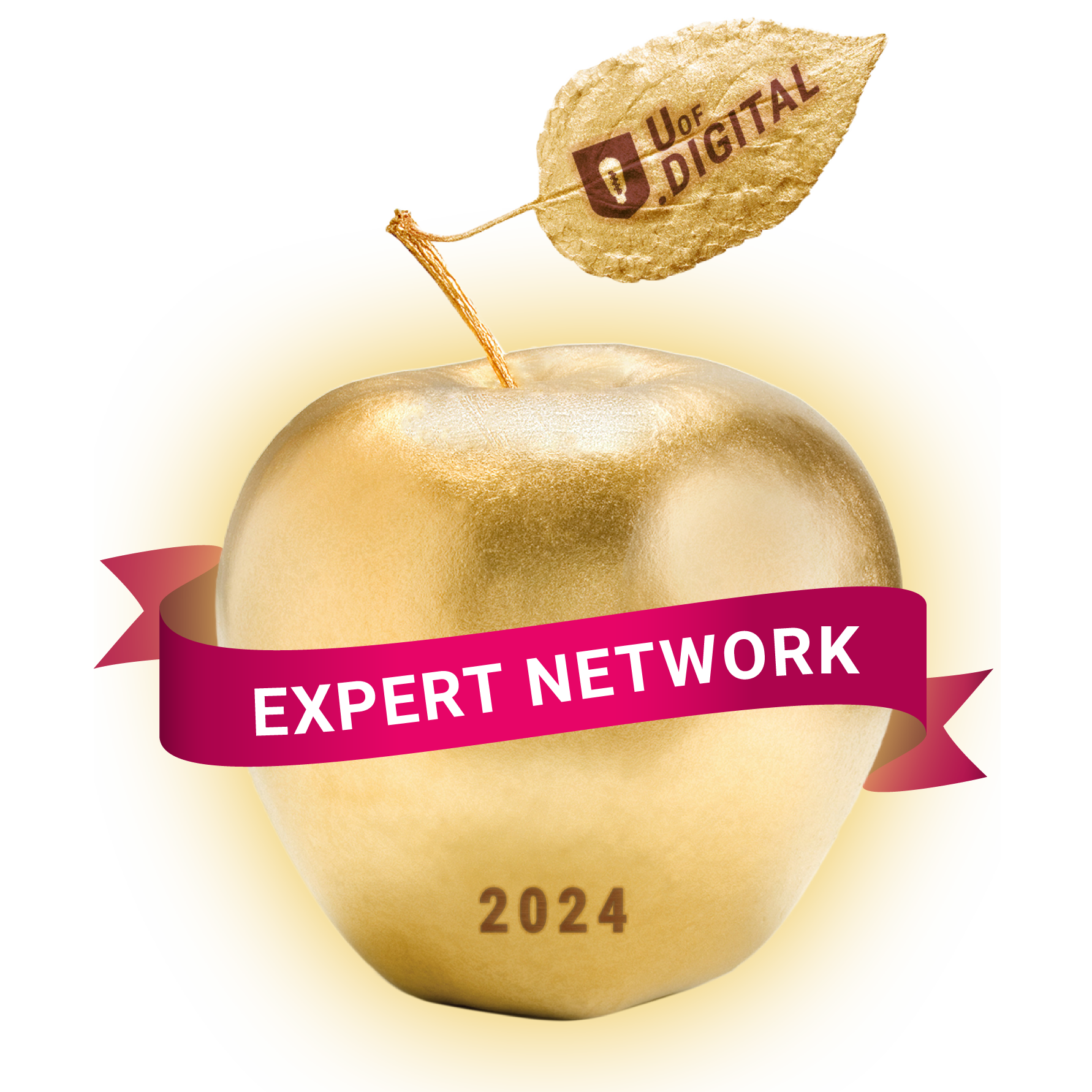 Expert Network 2024 - Credly