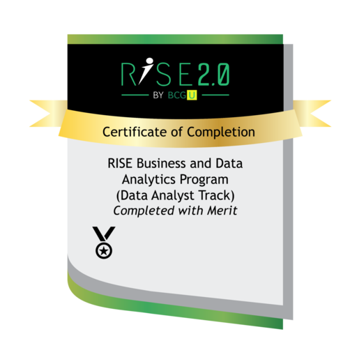 BCG RISE Certificate of Completion - Business and Data Analytics Program (Data Analyst Track ...