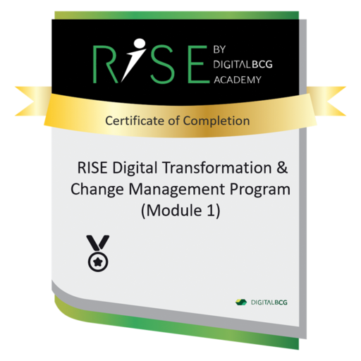BCG RISE Certificate of Completion Digital Transformation & Change Management Program (Module1 ...