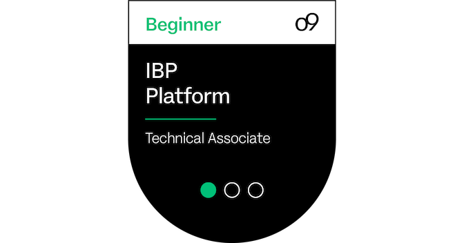 o9 IBP Platform - Technical Associate - Credly