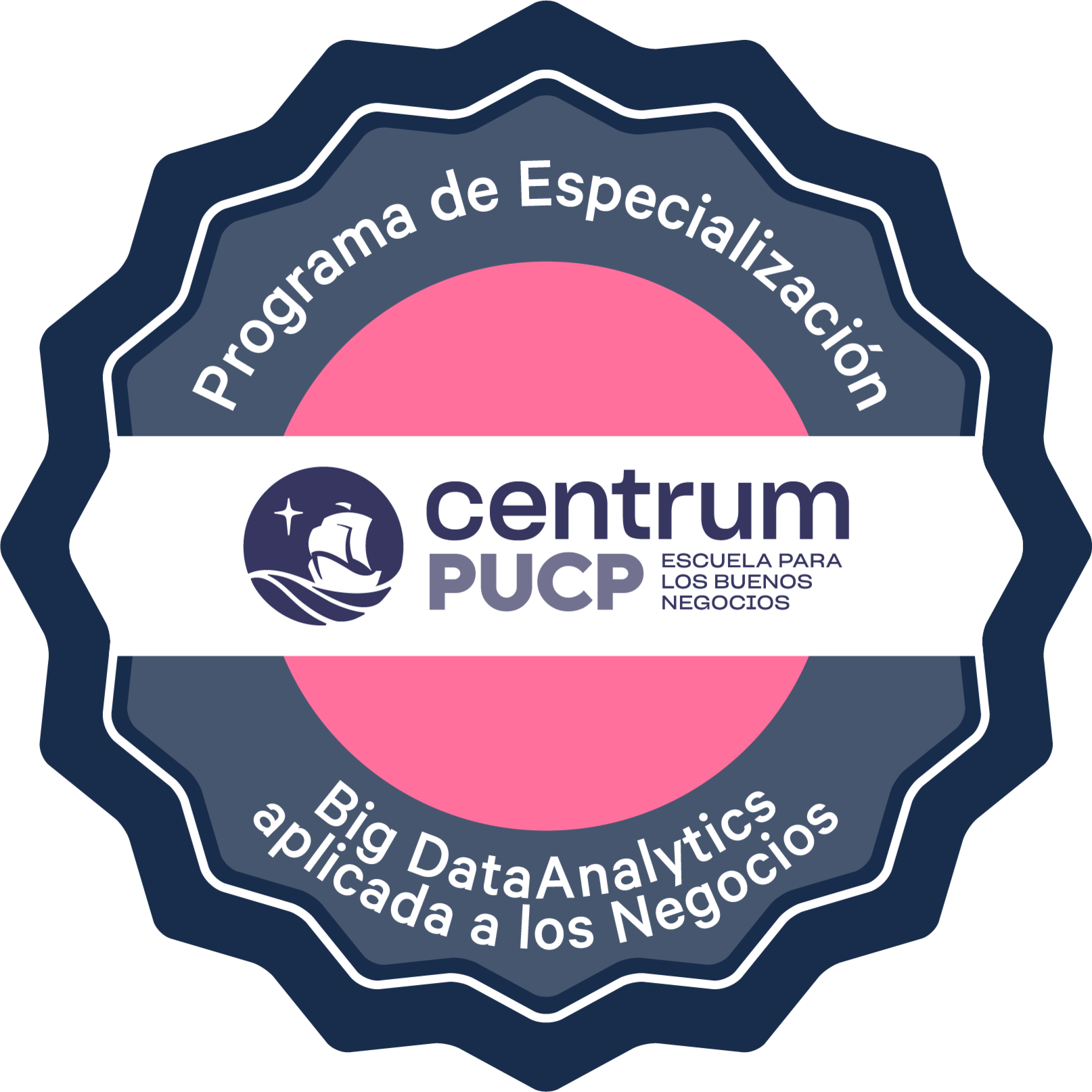 Programa de Especialización en Big Data Analytics aplicada a los Negocios - Credly