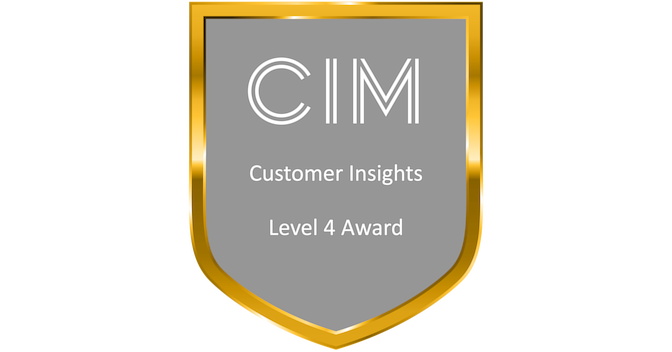 Customer Insights - Credly