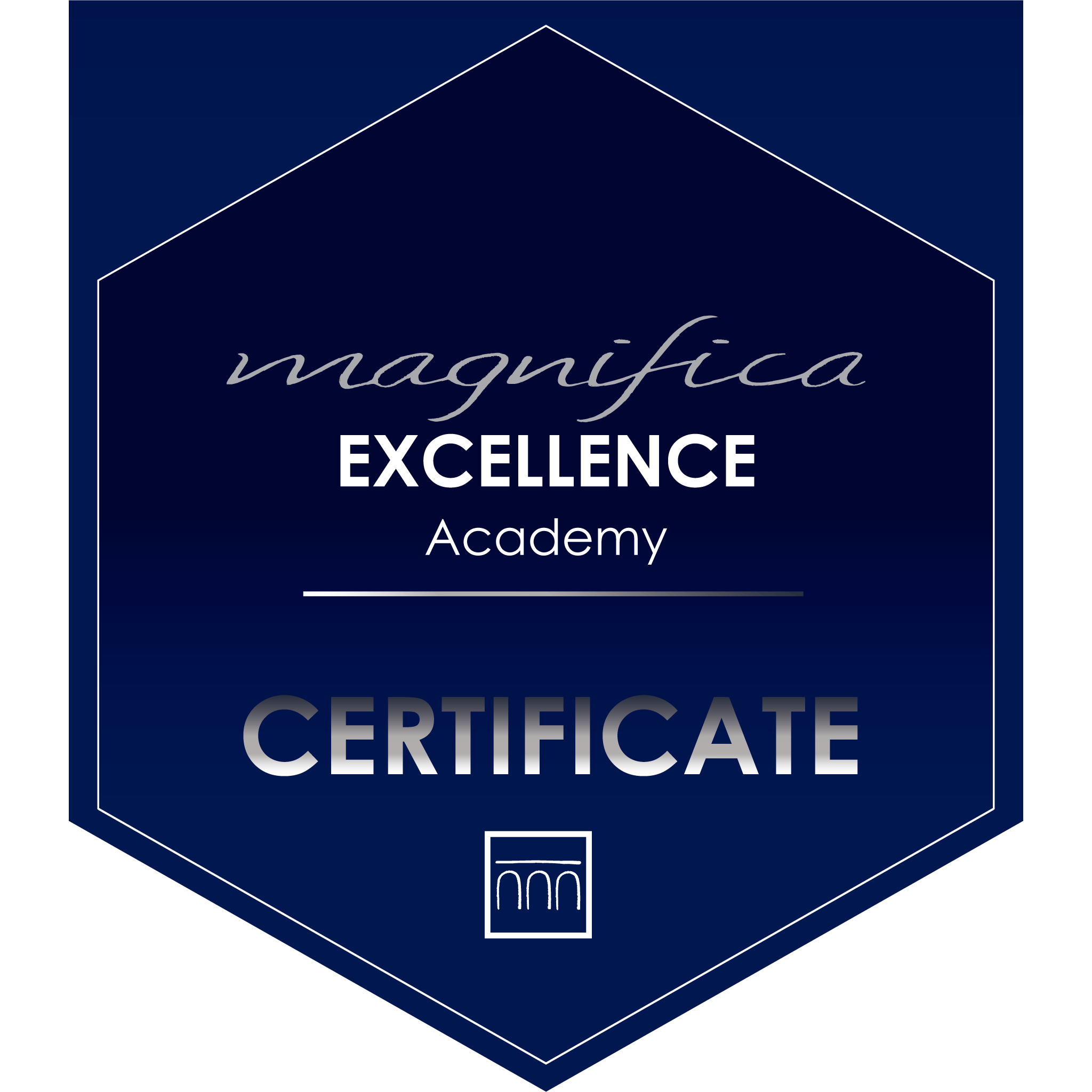 Magnifica Excellence Academy - Credly