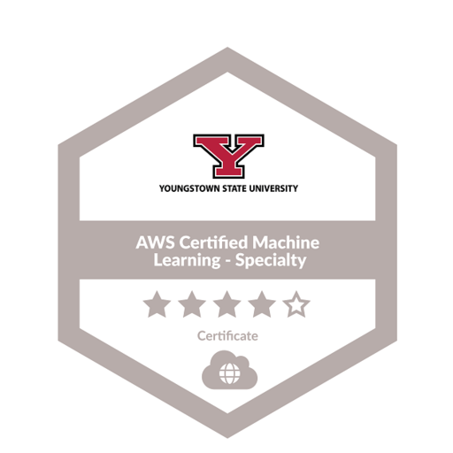 AWS Certified Machine Learning - Specialty - Credly
