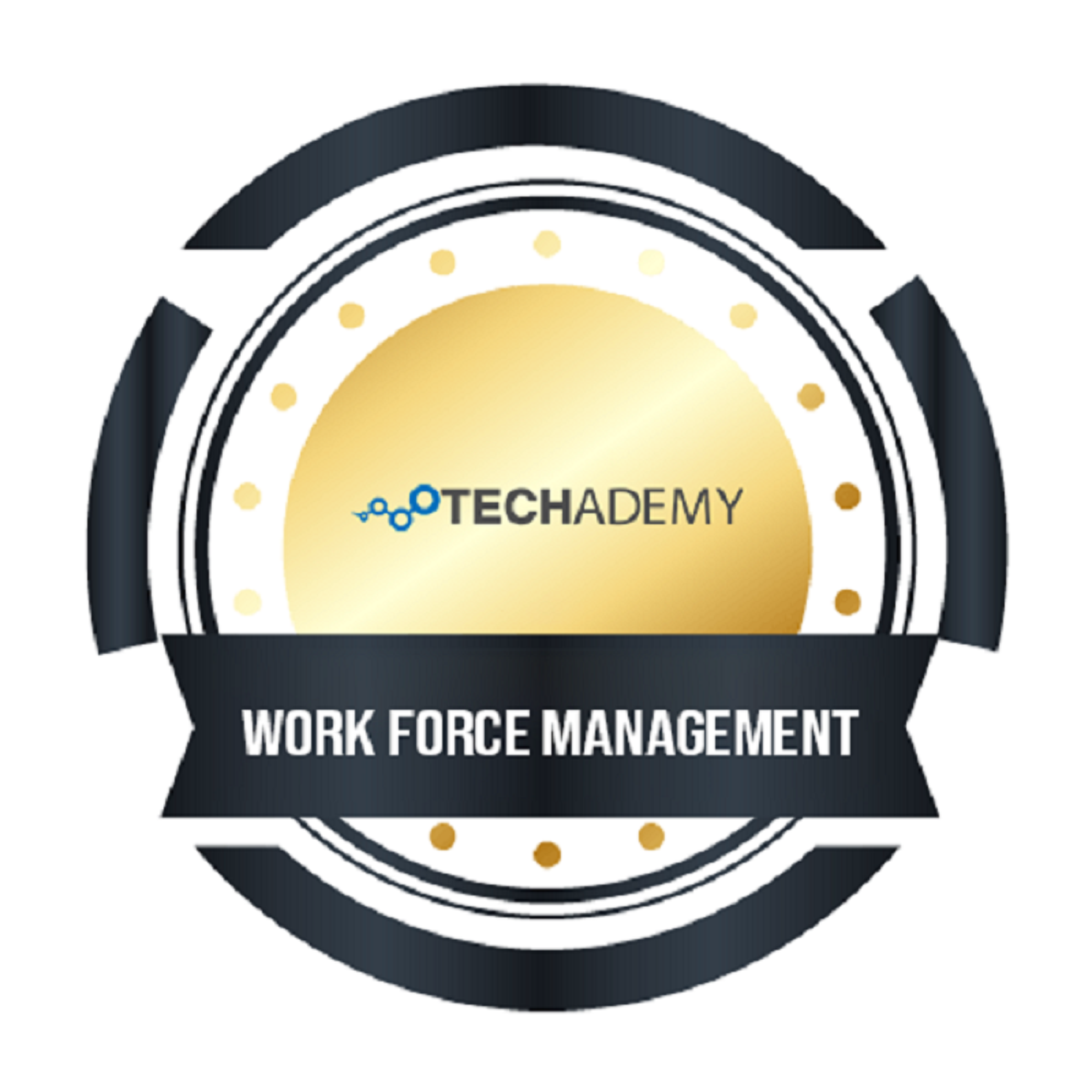 Work Force Management - Credly