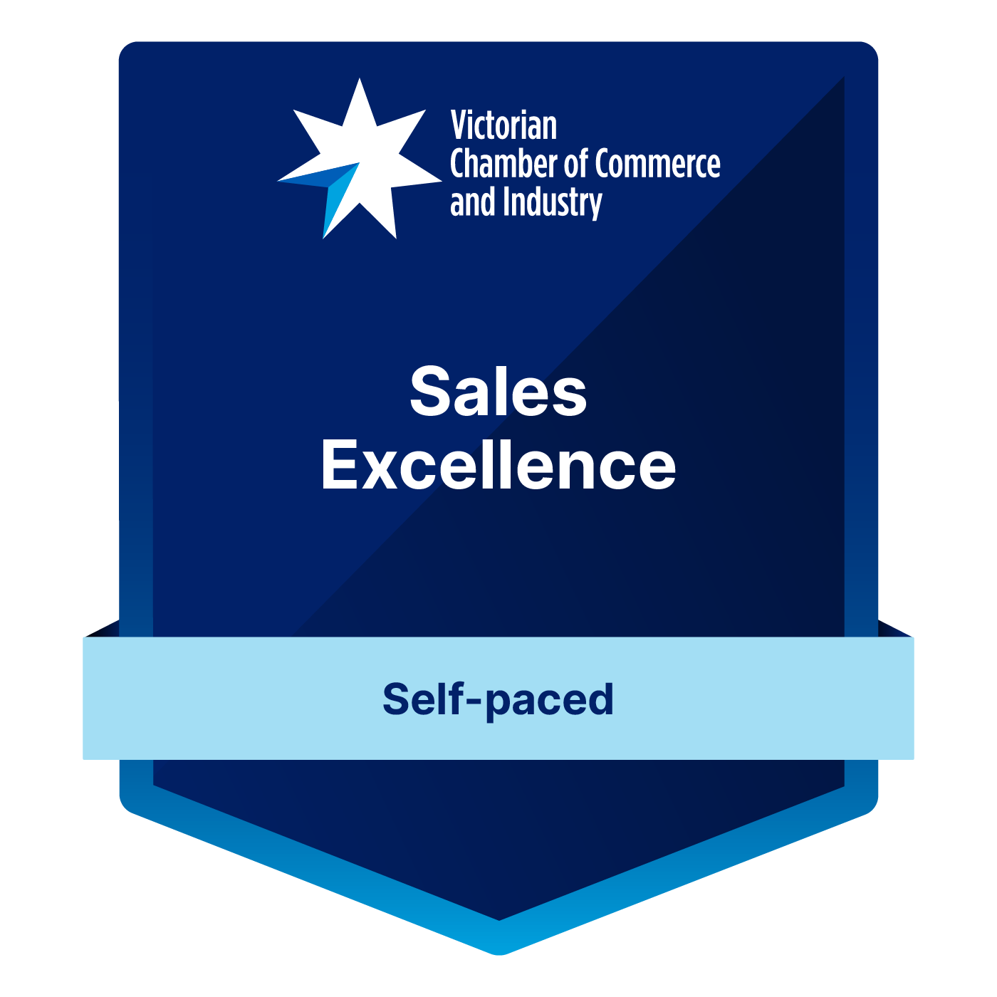 Sales Excellence - Credly