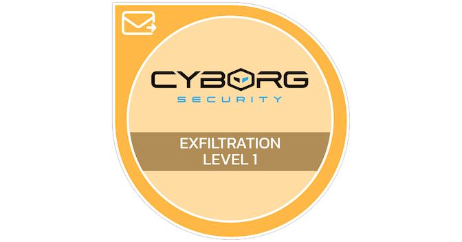 Threat Hunting - Exfiltration (Level 1) - Credly
