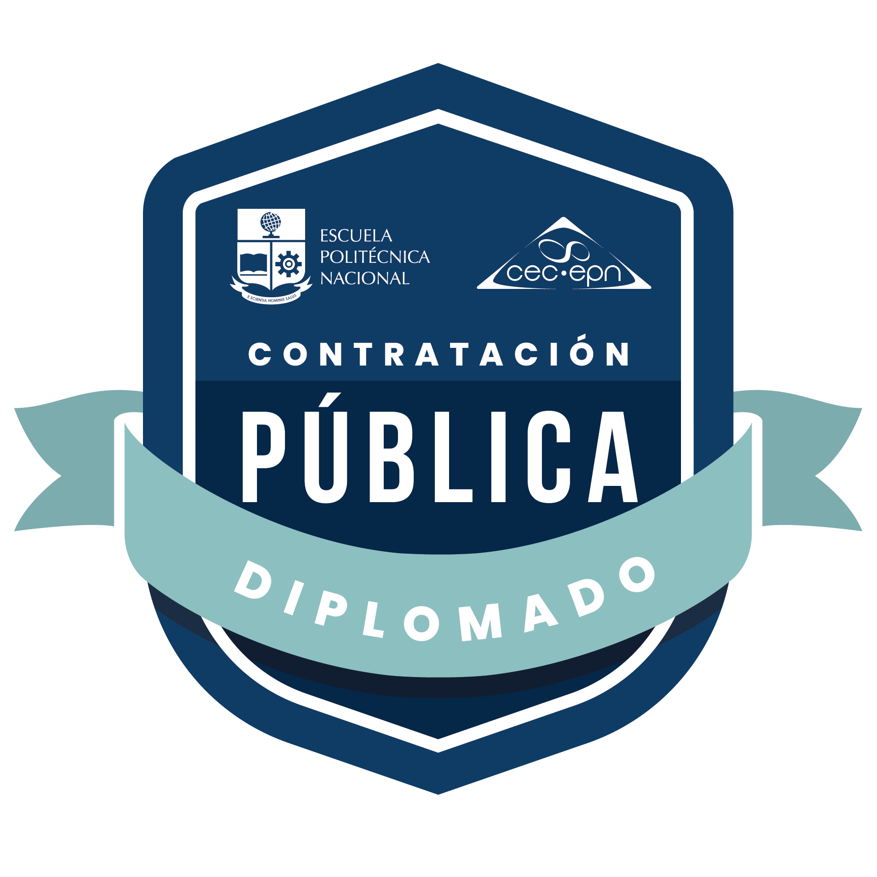 Diplomado en Contratación Pública - Credly