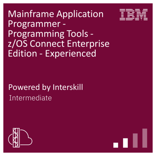 Interskill - Mainframe Application Programmer – Programming Tools – z ...