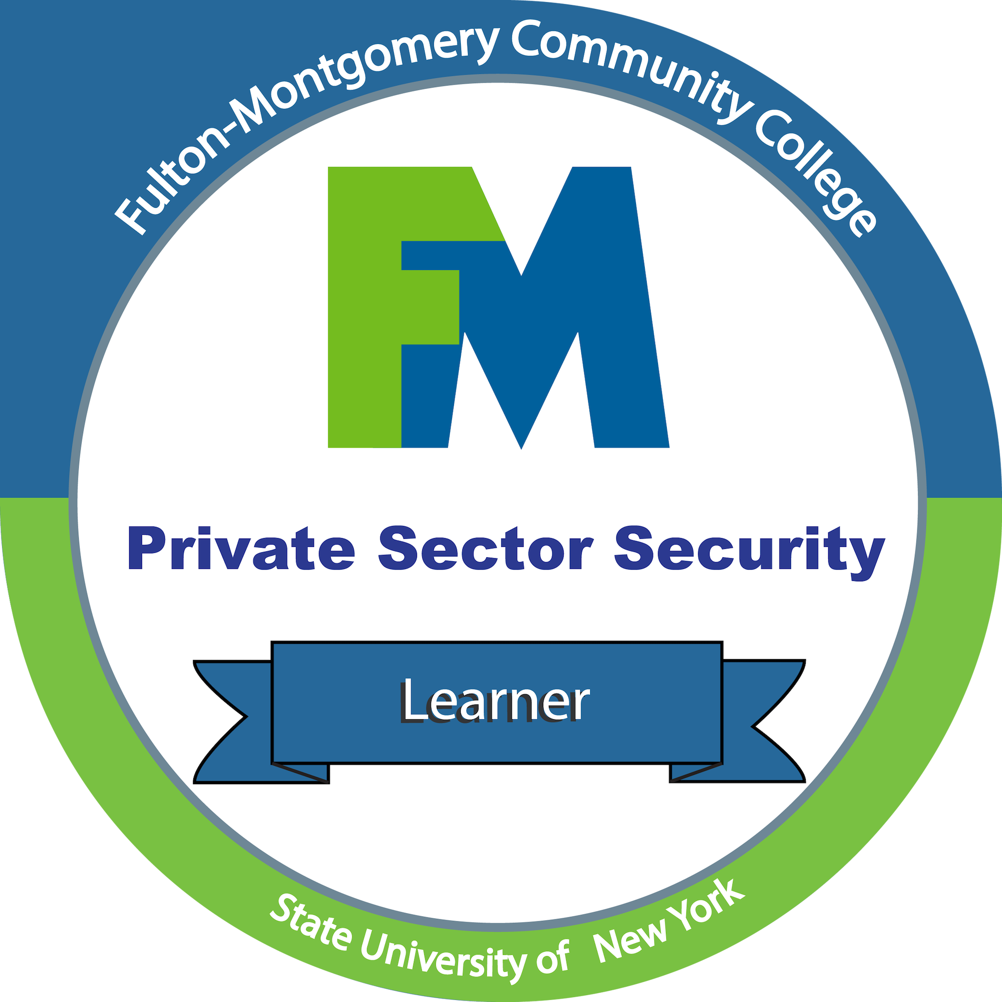 Private Sector Security