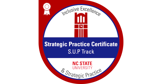 Strategic Practice Certificate (S.U.P. Track) - Credly