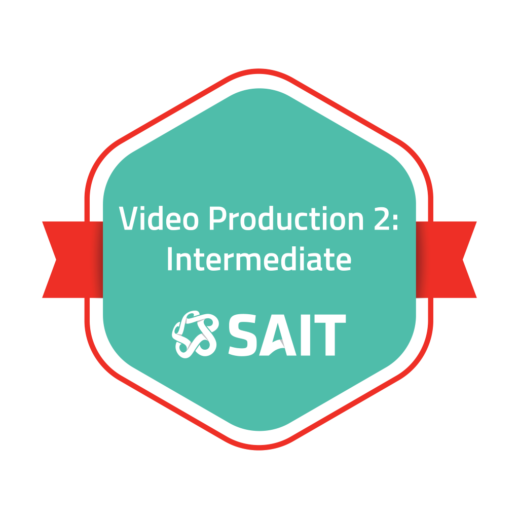 Video Production 2: Intermediate - Credly