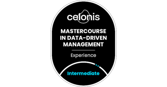 Mastercourse in Data-Driven Management - Credly
