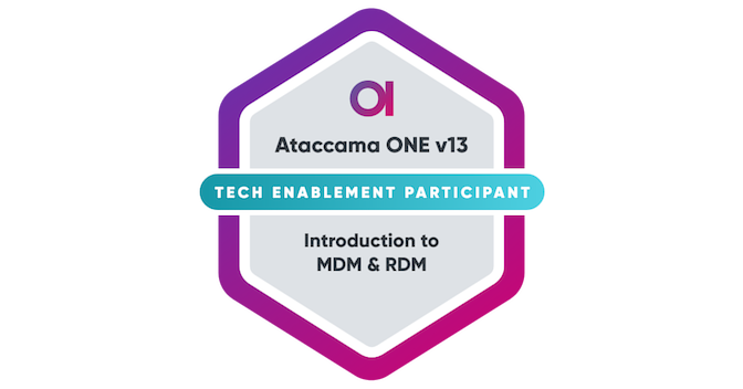 Ataccama ONE Master & Reference Data Management v13 Partner Technical ...