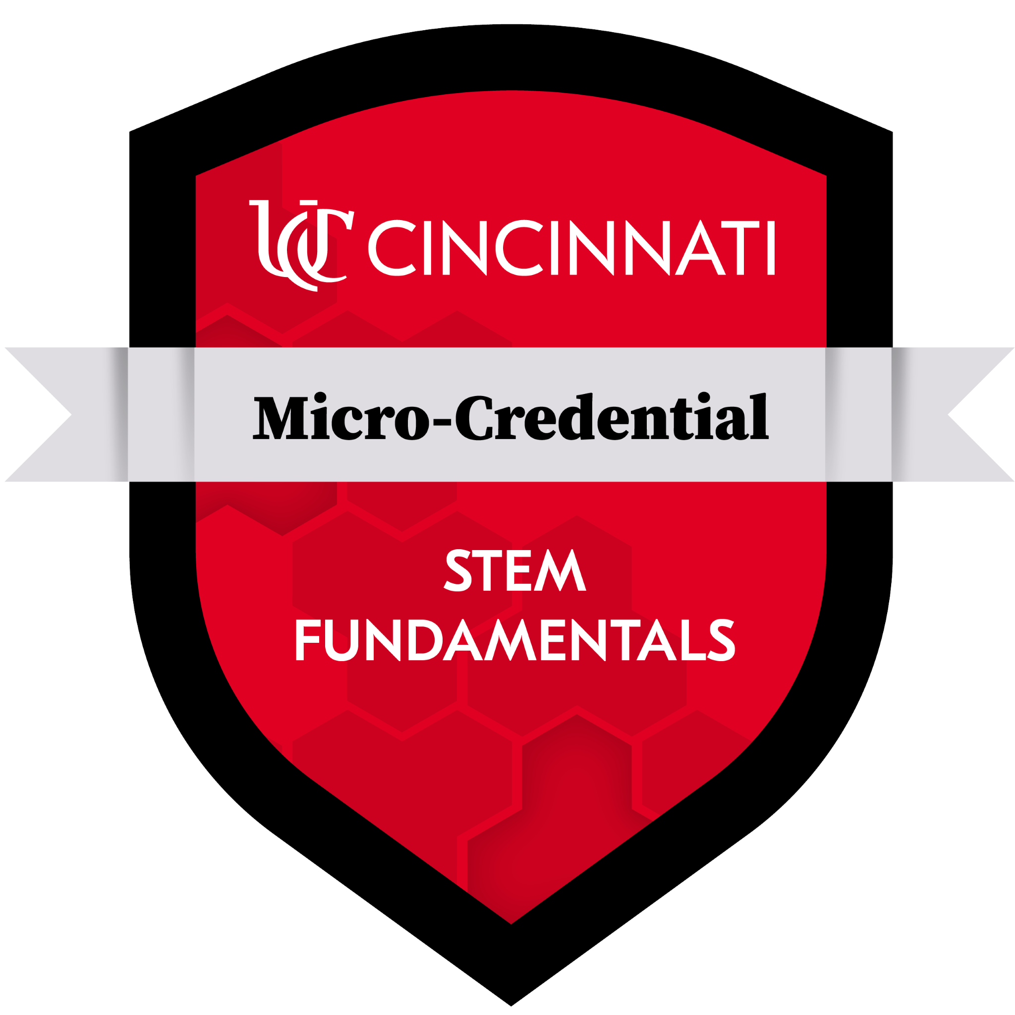 STEM Fundamentals - Credly