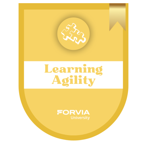Learning Agility - Credly
