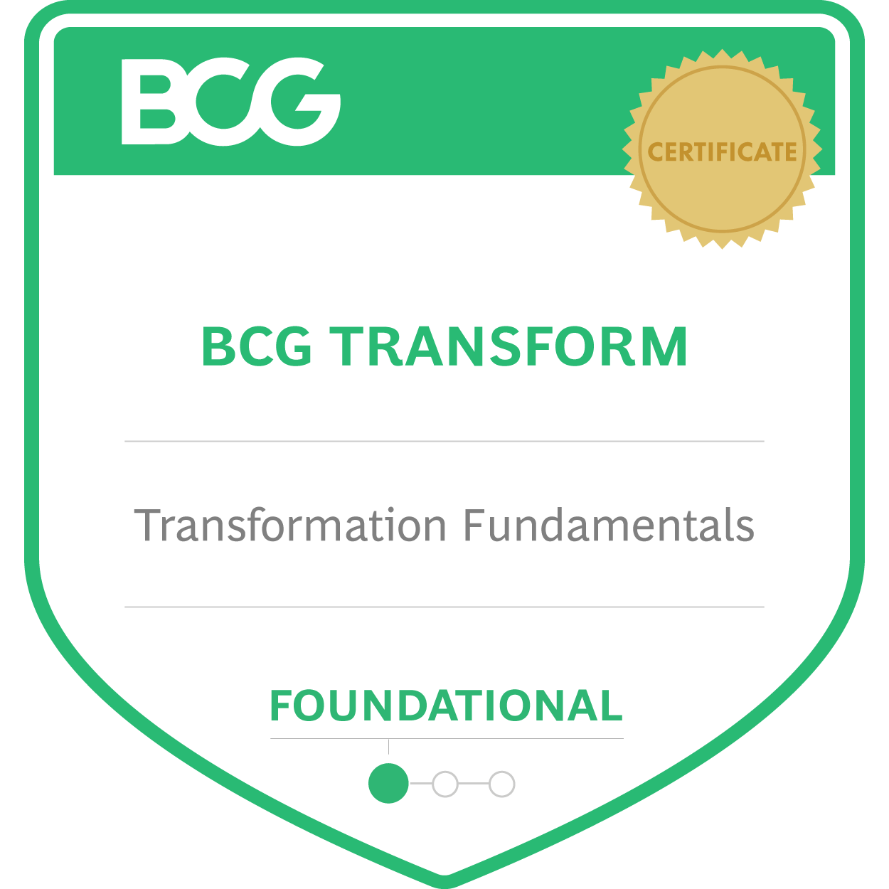BCG Transform: Transformation Fundamentals - Credly