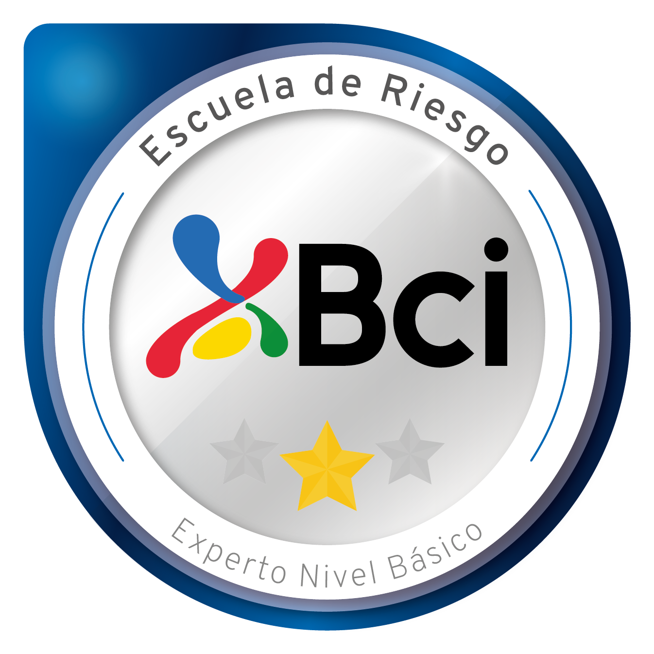 Experto Nivel Básico - Credly