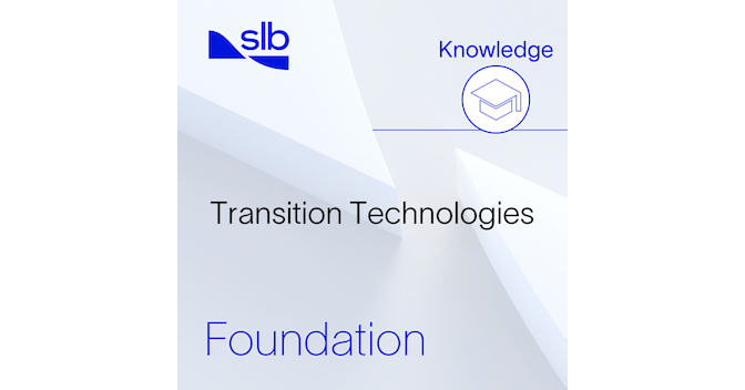 Transition Technologies - Foundation - Credly