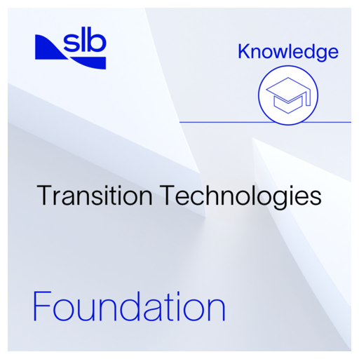Transition Technologies - Foundation - Credly