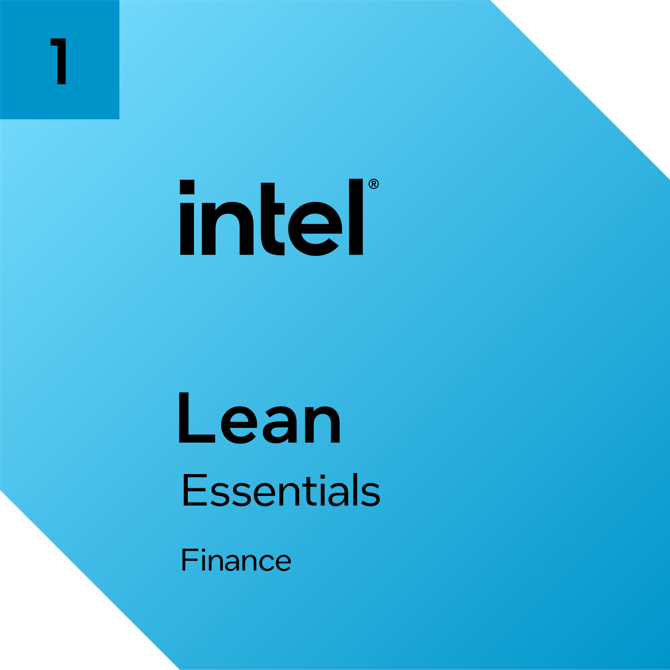 Finance Lean Essentials - Credly