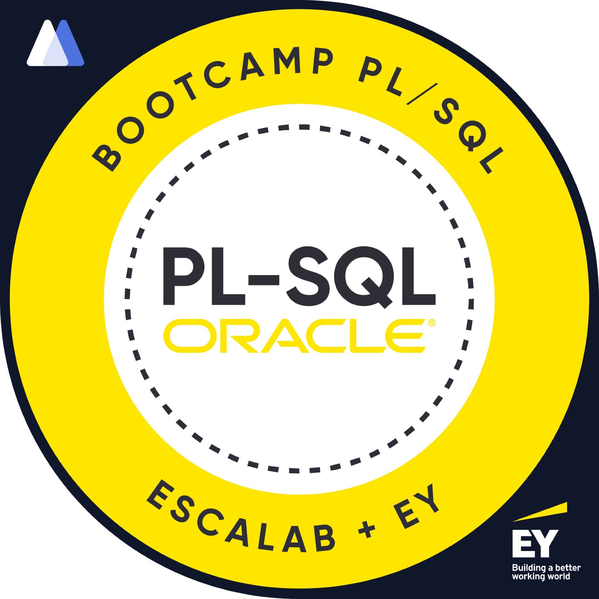 PL SQL Developer Credly