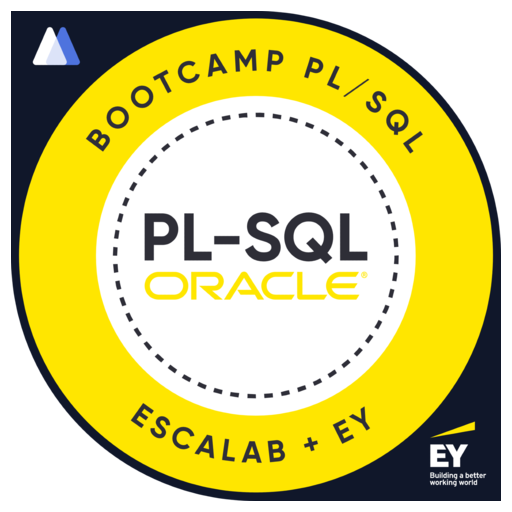Pl Sql Developer Credly