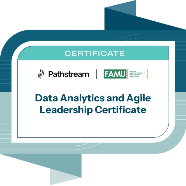 Data Analytics and Agile Leadership Certificate from FAMU - Credly