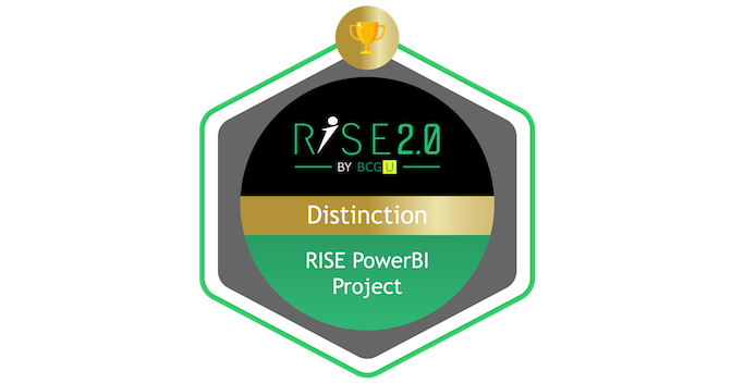BCG RISE Distinction PowerBI Project - Credly