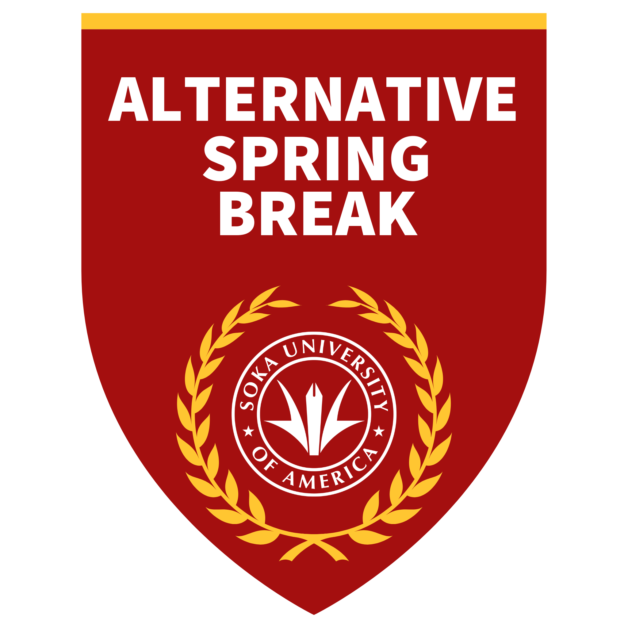 ALTERNATIVE SPRING BREAK - Credly