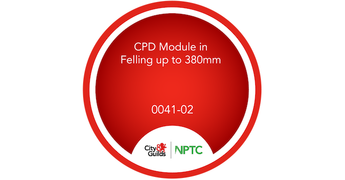 CPD Module in Felling up to 380mm (0041-02) - Credly